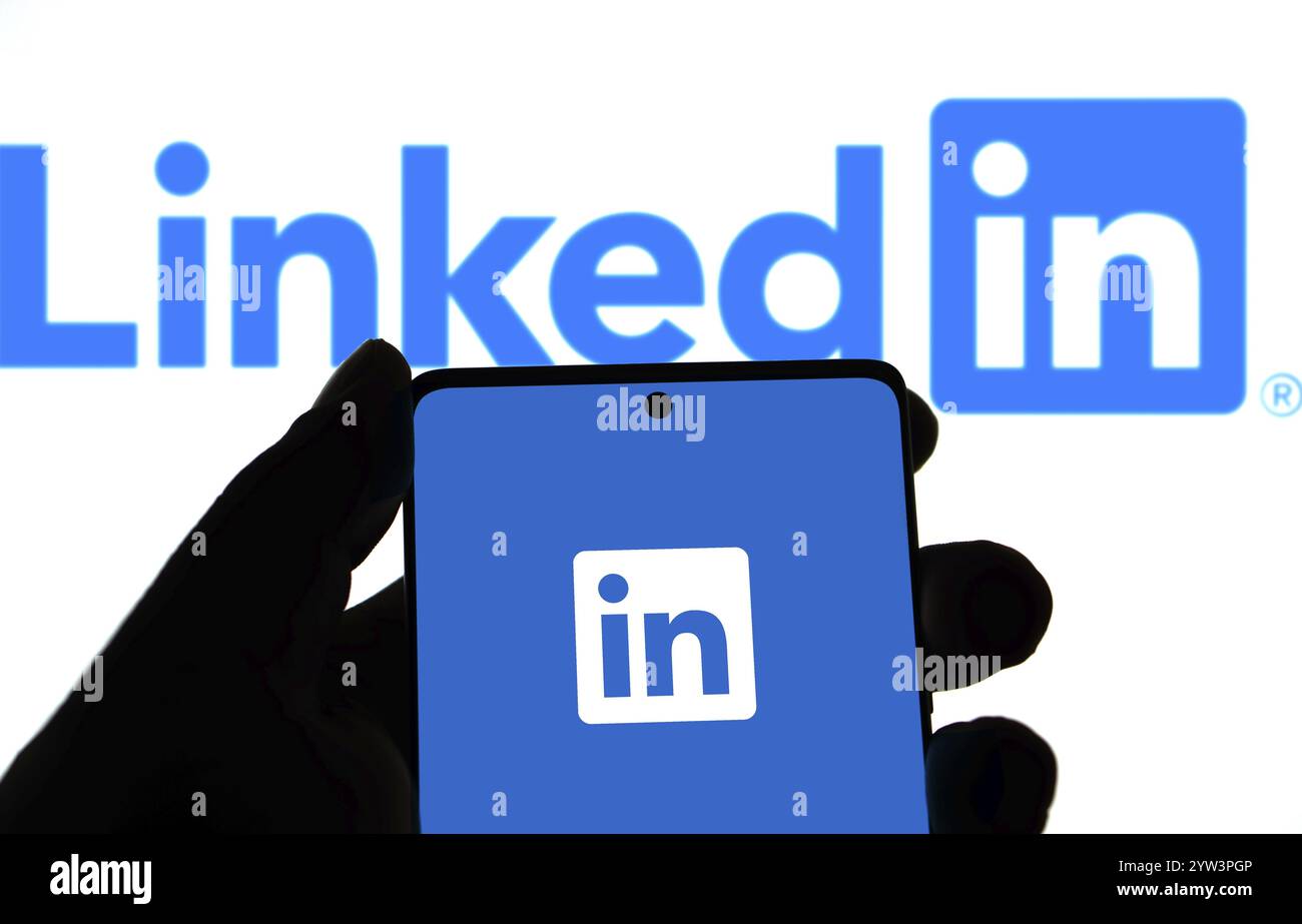 LinkedIn is the world's largest professional network on the Internet ...
