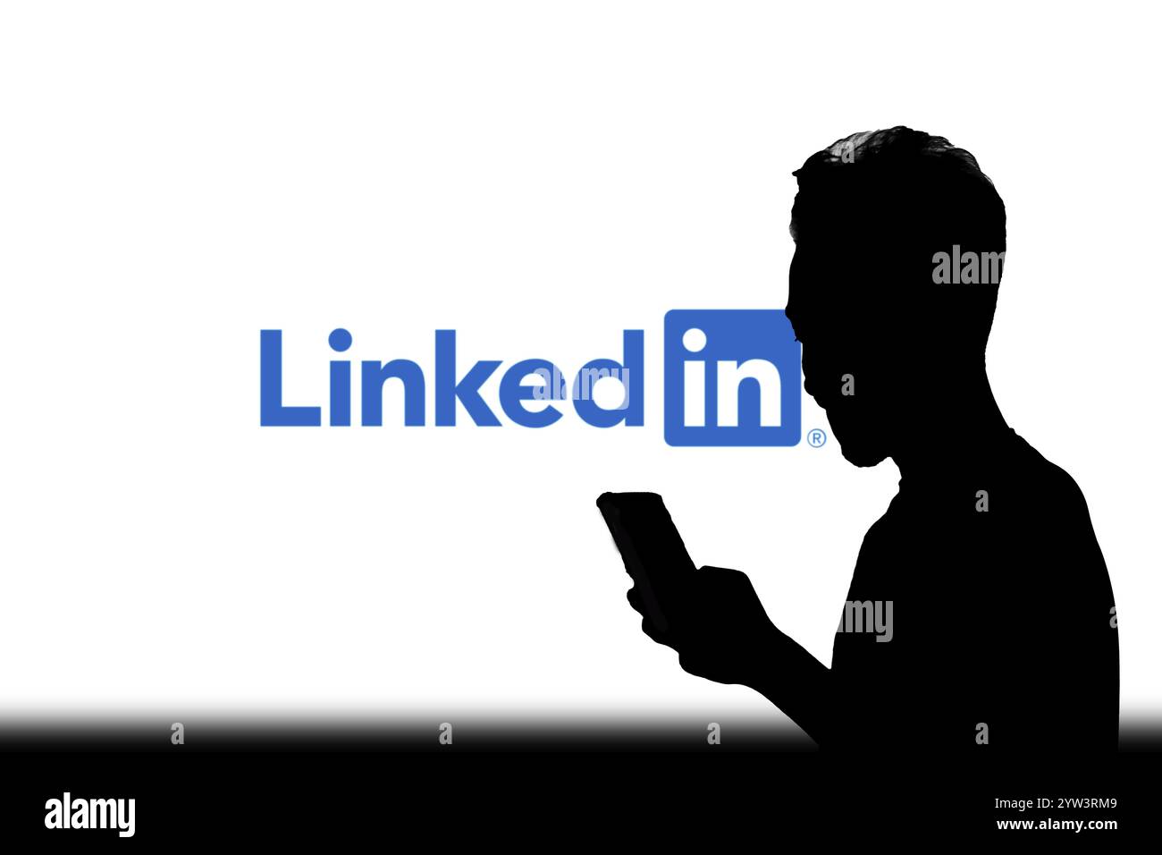 LinkedIn is the world's largest professional network on the Internet ...