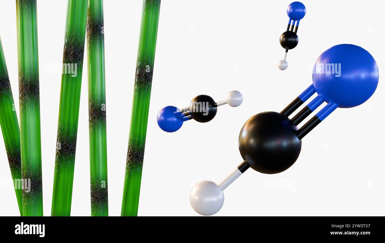 3d rendering of Bamboo, it does contain cyanogenic glycosides, which ...