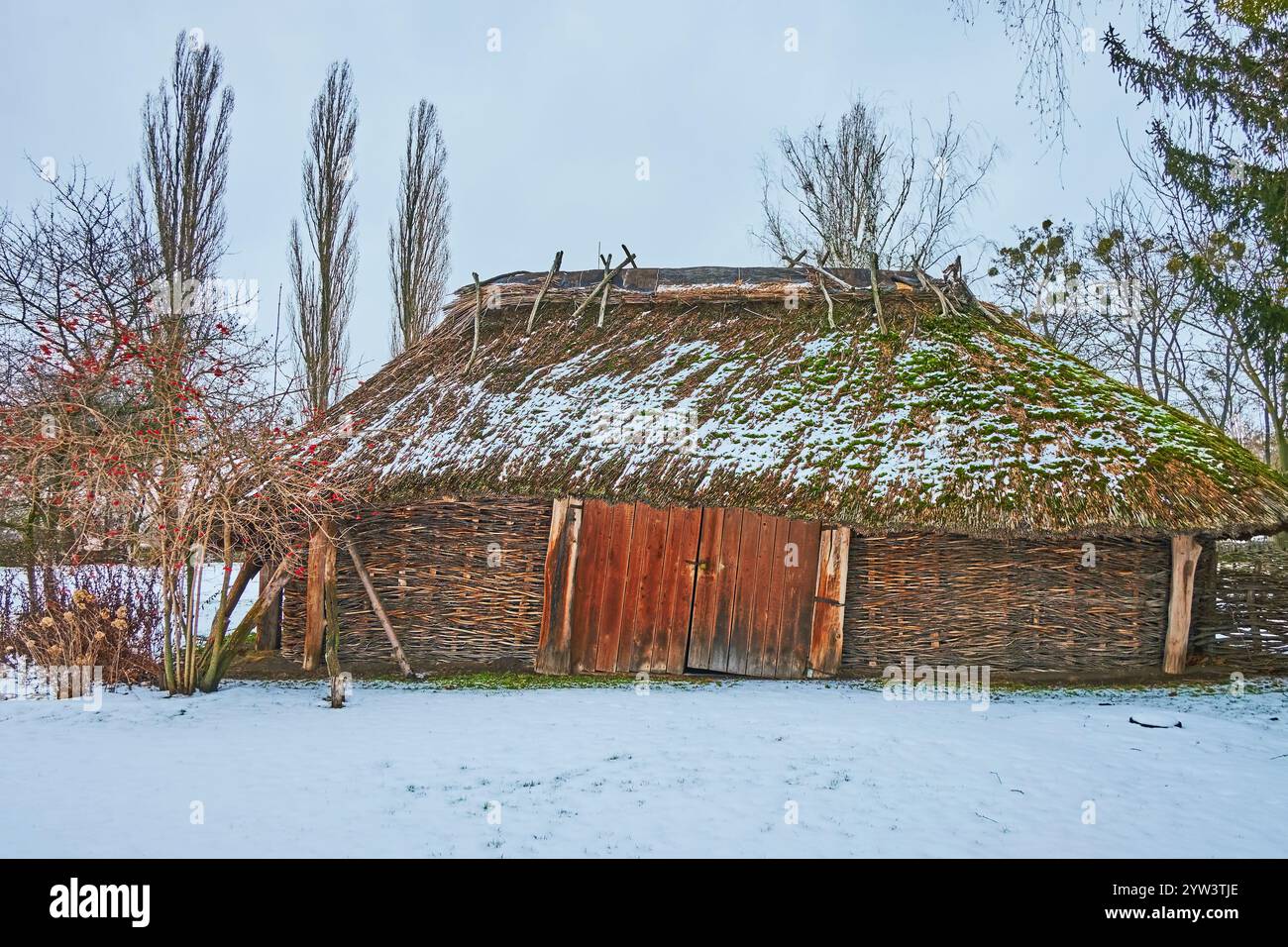 The facade of the old leaning wicker barn with thatched roof, located ...