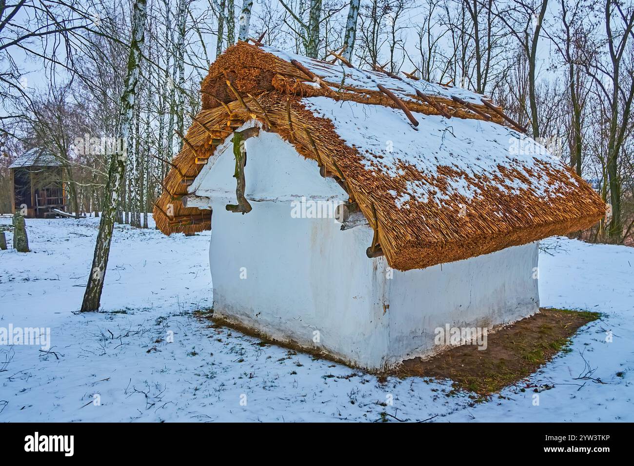 The whitewashed adobe house with thatched roof in winter Pereiaslav ...