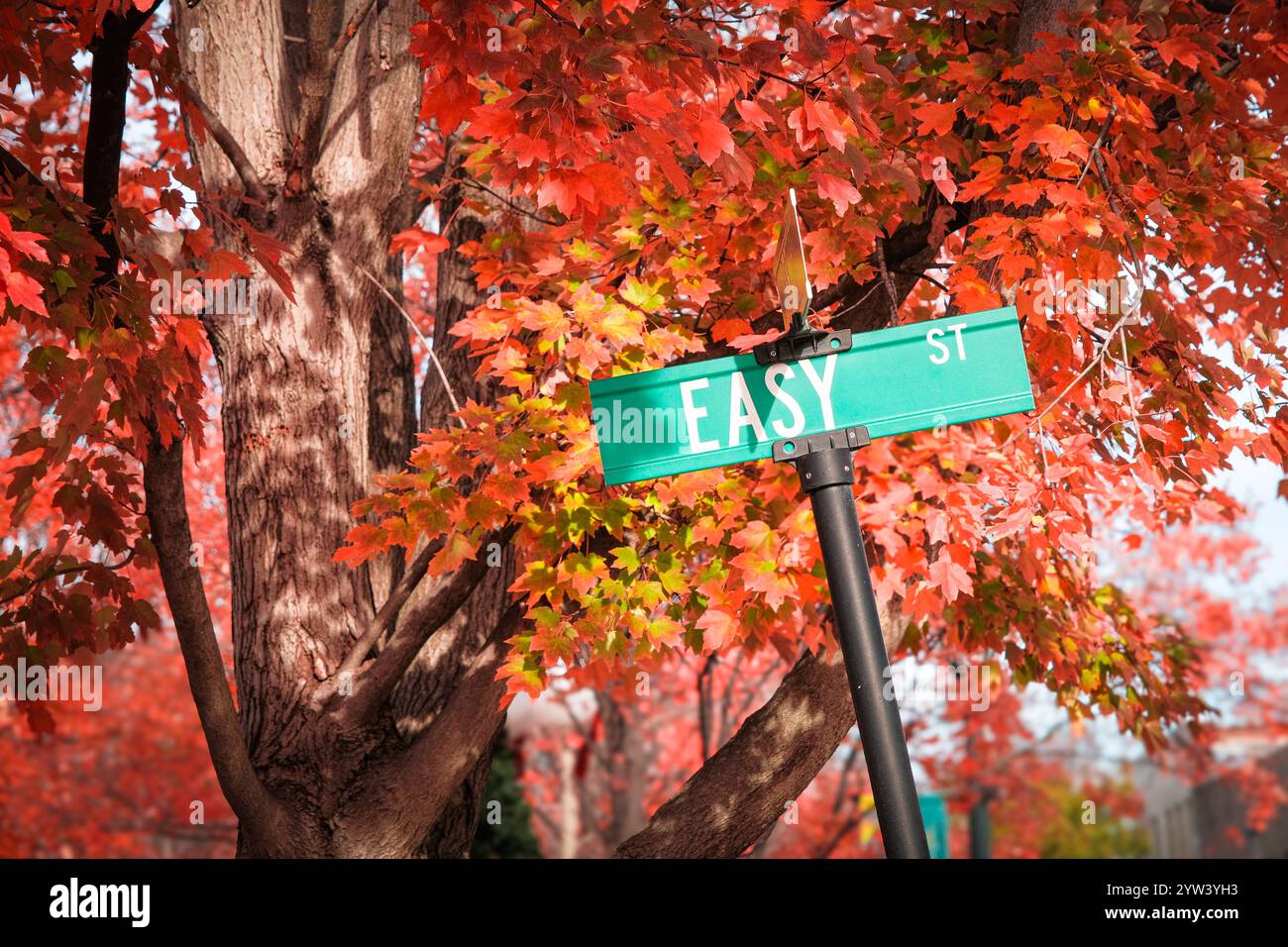 Sign points the way to easy street Stock Photo - Alamy