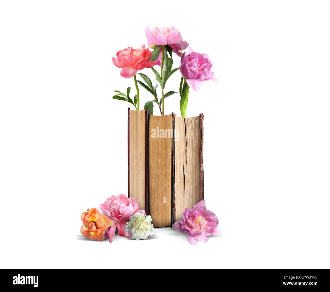 Closed books with beautiful flowers between pages on white background ...