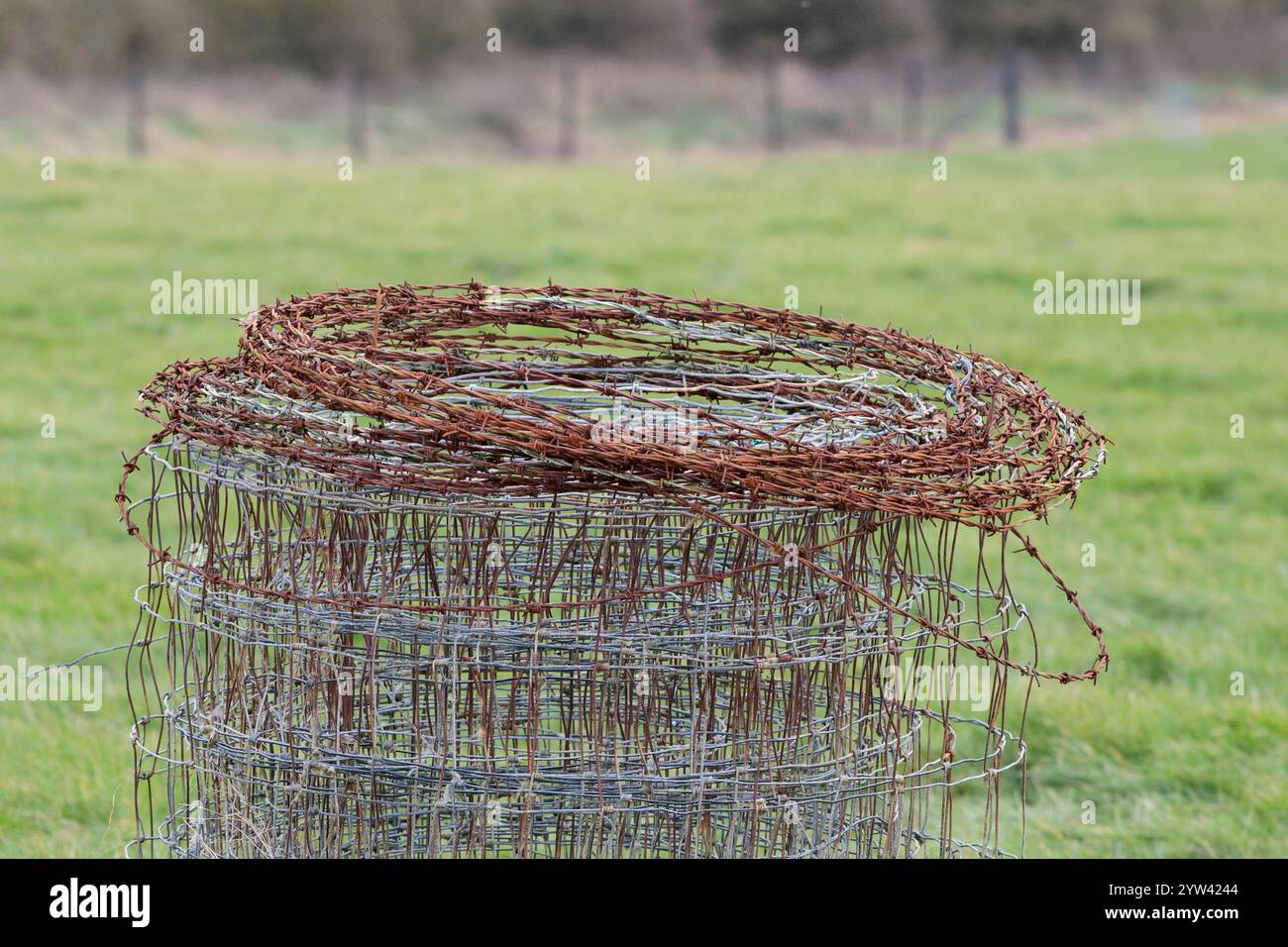 Wire fencing roll of square panel wire fencing and a coil of rusty ...