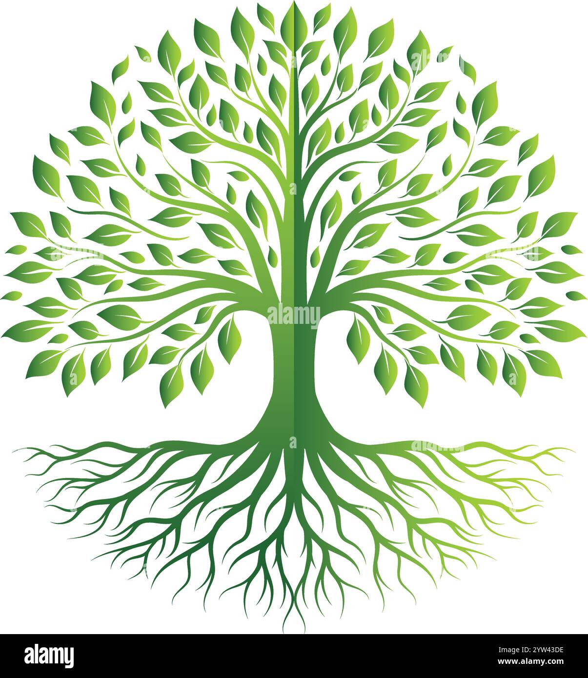 Symmetrical trees with leaves and roots vector illustration, Nature ...