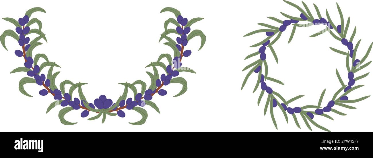 Olive branches and berries forming decorative half circle and circle ...