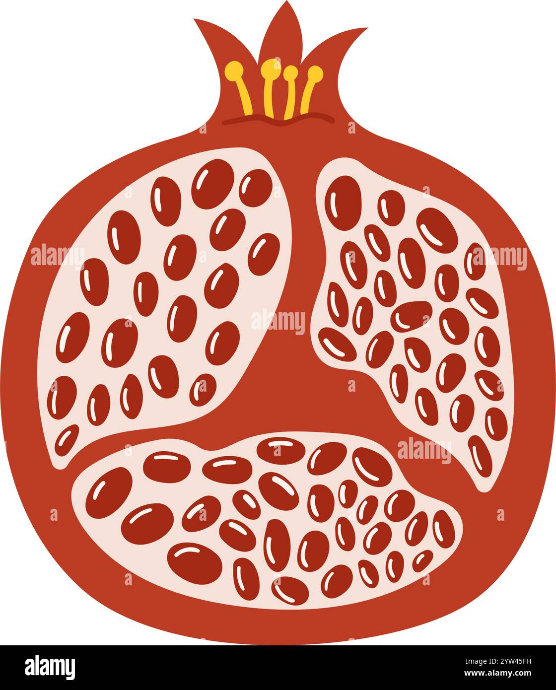 Fruit pomegranate, half with seeds in cartoon hand drawn simple style ...