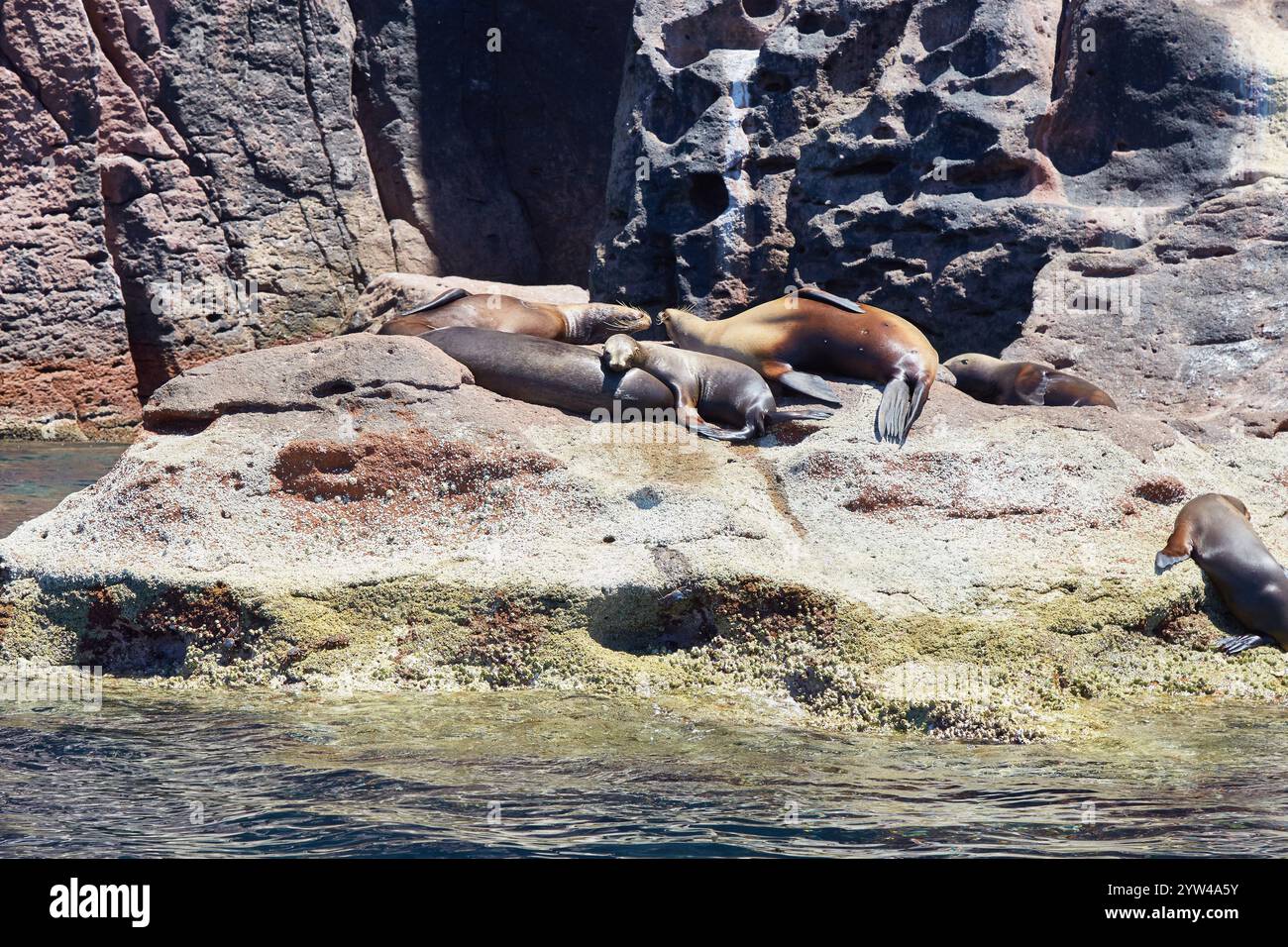 Situated along the Sea of Cortez, La Paz is the capital of Baja ...