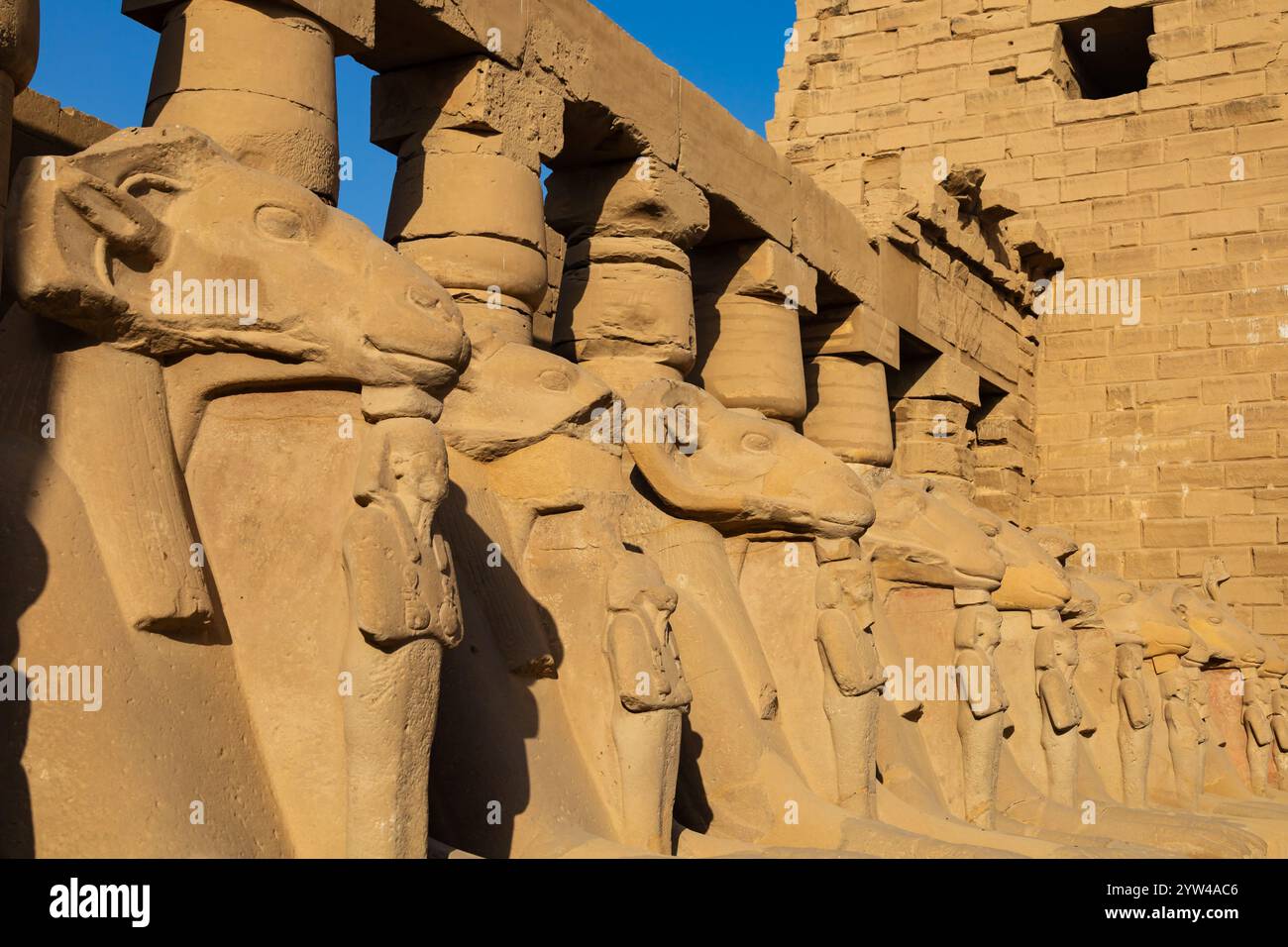 Ram head sphinx, Ancient Egyptian open-air museum of Karnak Temple, El ...