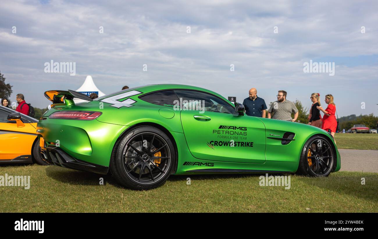 PETRONAS Formula One Team - Mercedes-AMG GT, on display at the 2024 ...