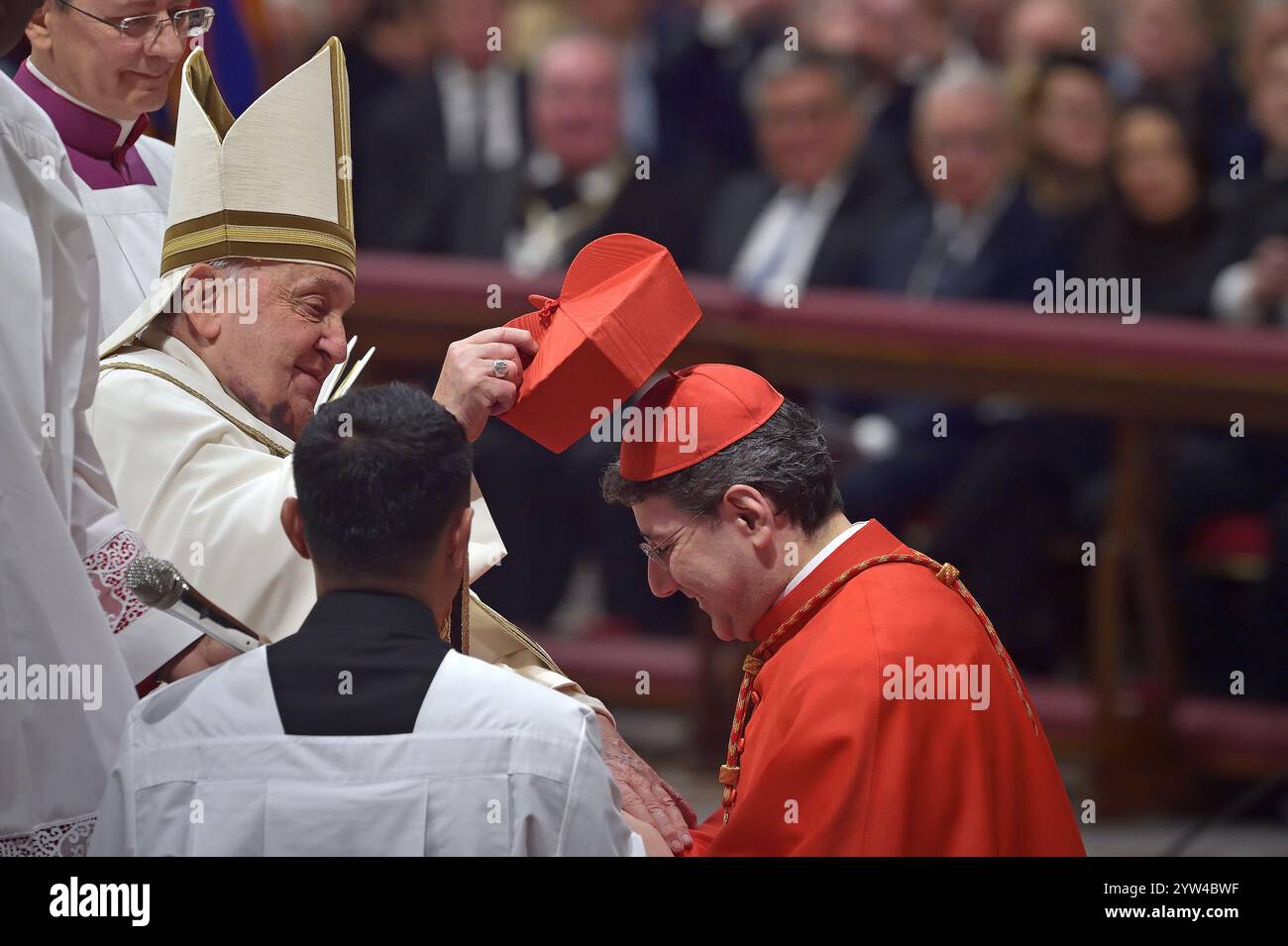 Francis new cardinals 2024 hi-res stock photography and images - Alamy