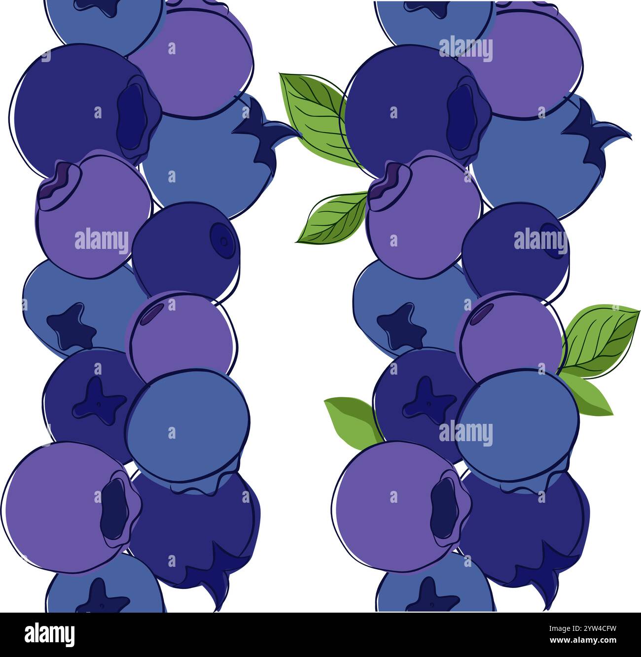 Blackberry berry leaf line Stock Vector Images - Alamy