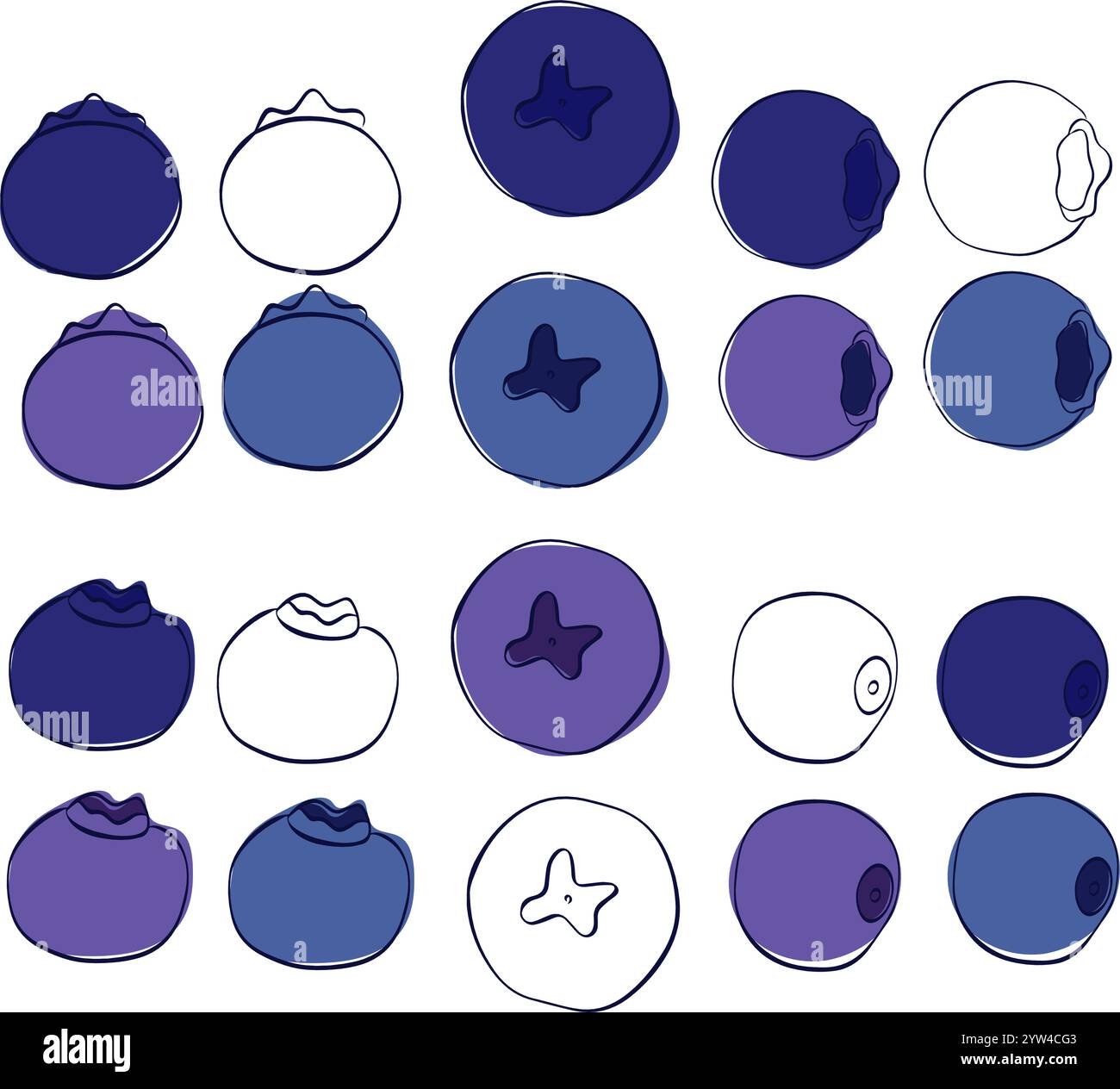 Blueberry line graphic icon set. vector illustration Stock Vector Image ...
