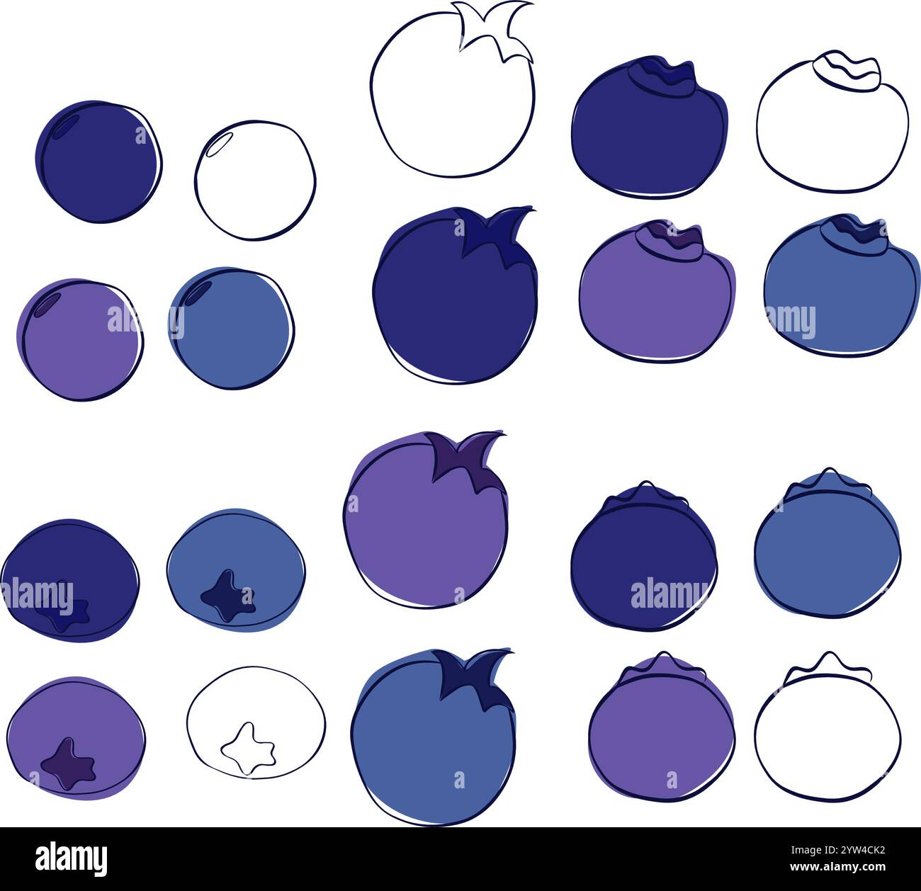 blueberries Vector graphics line set, isolated on transparent ...