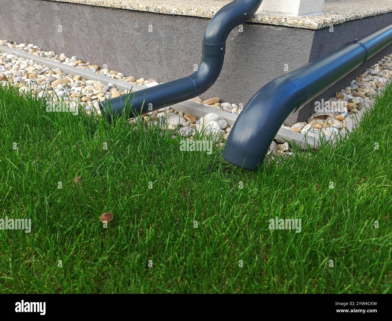 Gutter Rain water irrigates garden. Rainwater flows from a drainpipe ...
