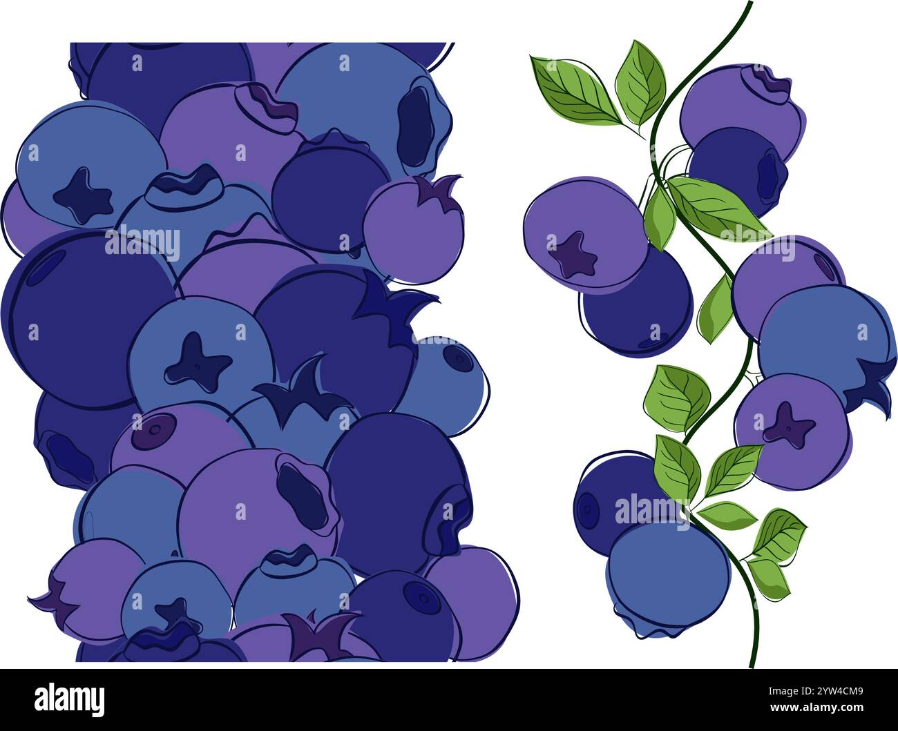 Blueberry branch seamless vertical border set with green leaves and ...