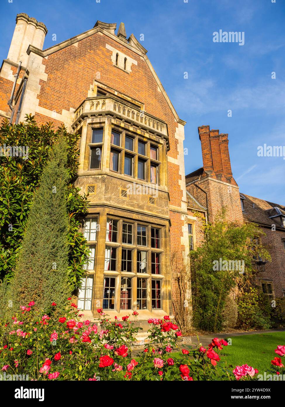 Roses, Library Lawn, Hall Building, Pembroke College, University of ...