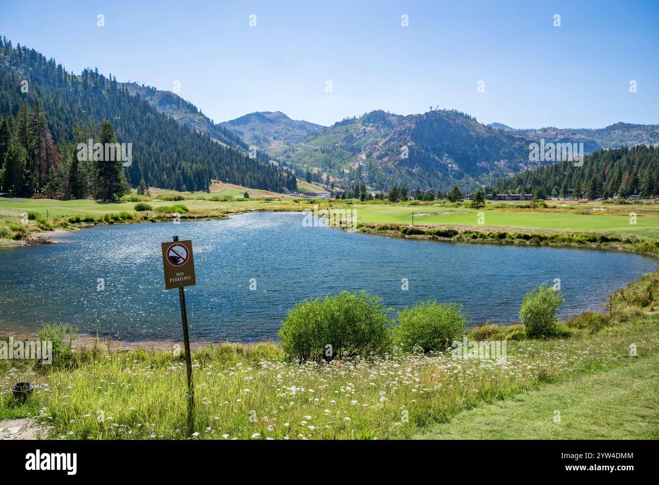 Fishing prohibited sign near a mountain lake in California - NO FISHING ...