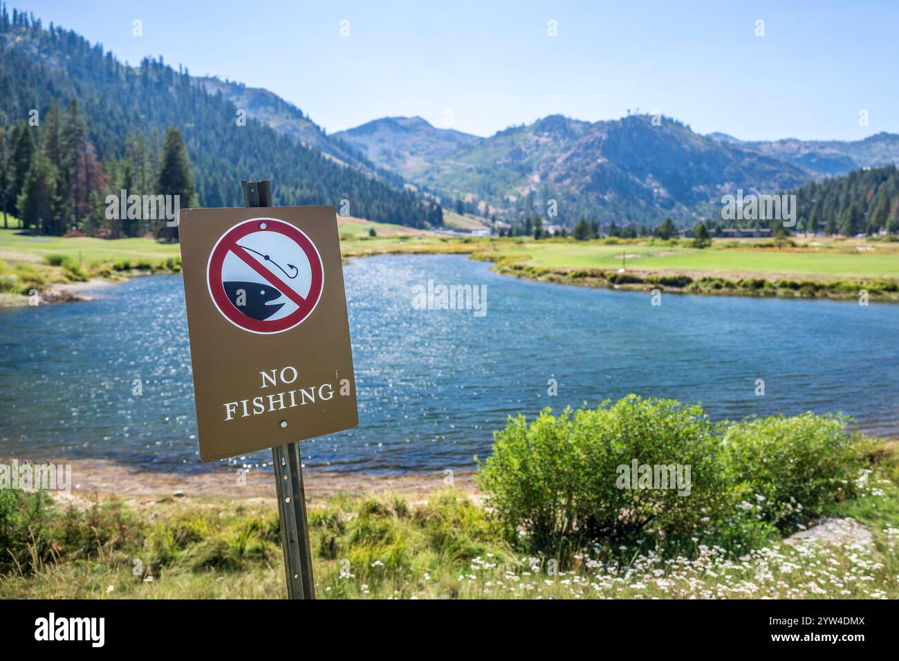 Fishing prohibited sign near a mountain lake in California - NO FISHING ...