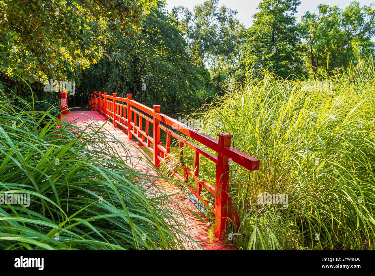 Japanese bridge, Parc Floral de la Court d'Aron, Saint Cyr-en ...