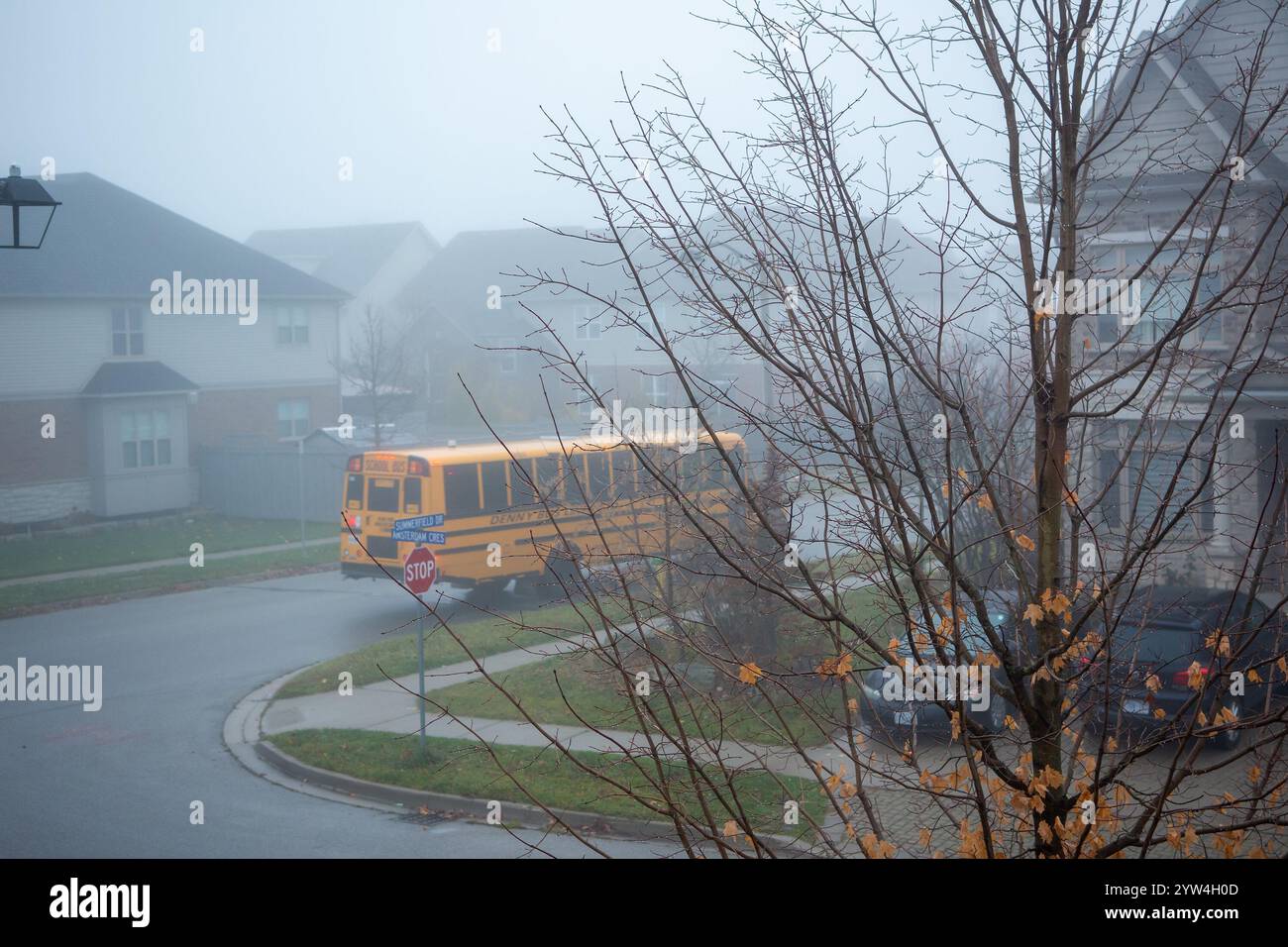 A school bus in the morning fog collects schoolchildren on city streets ...