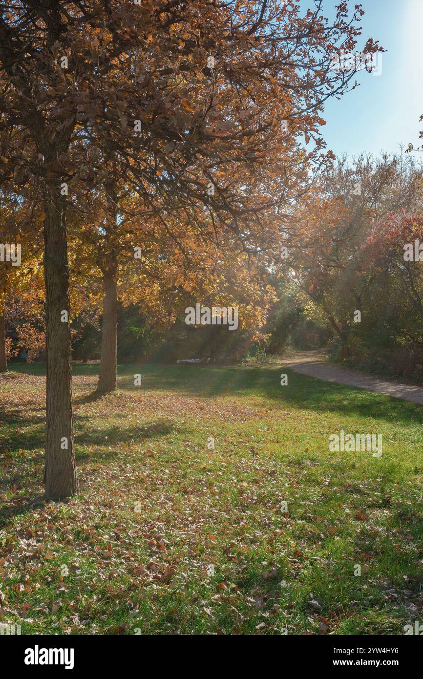 Sunlight slanting hi-res stock photography and images - Alamy