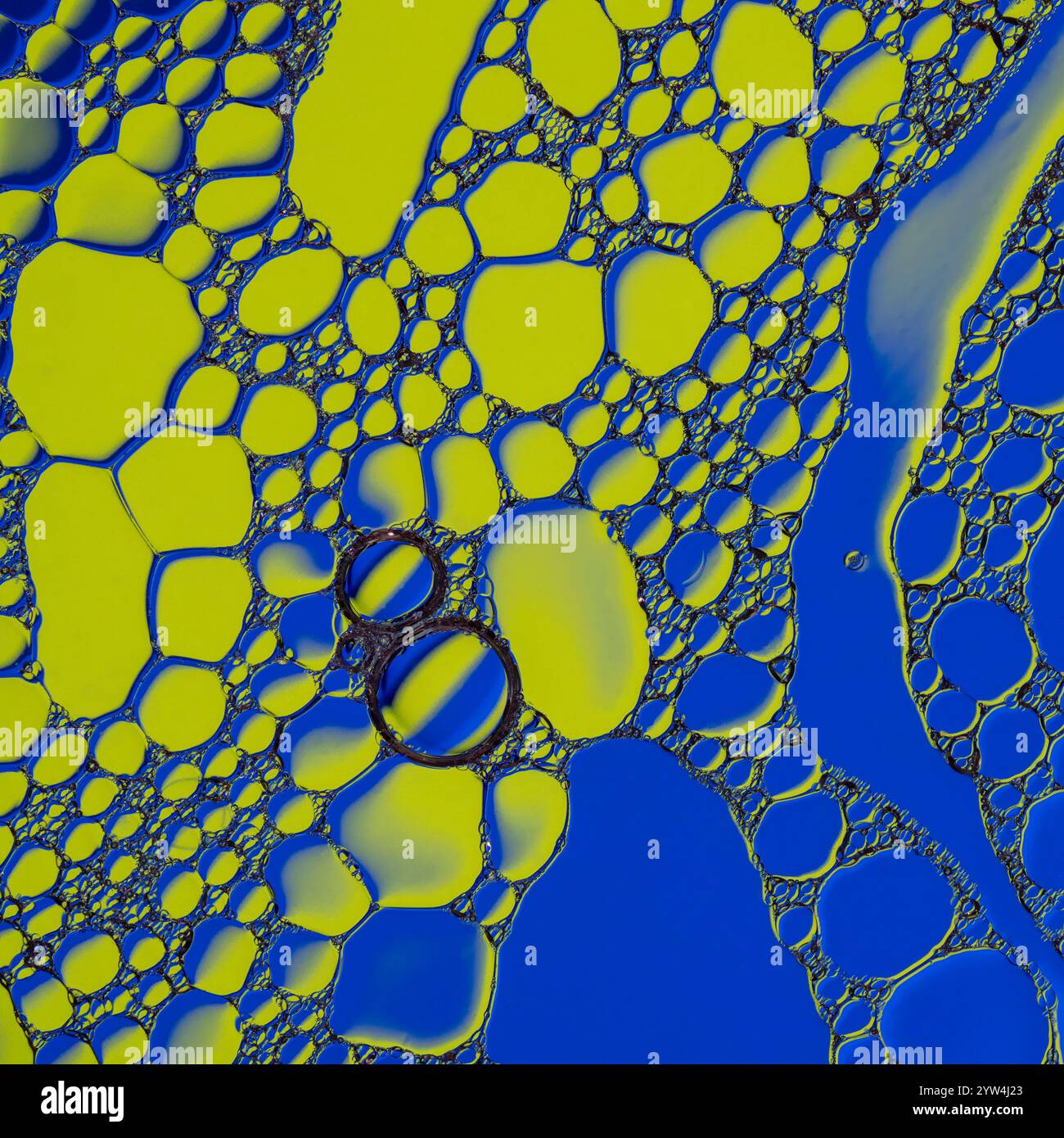 Bubble patterns created by oil on water against a coloured background ...