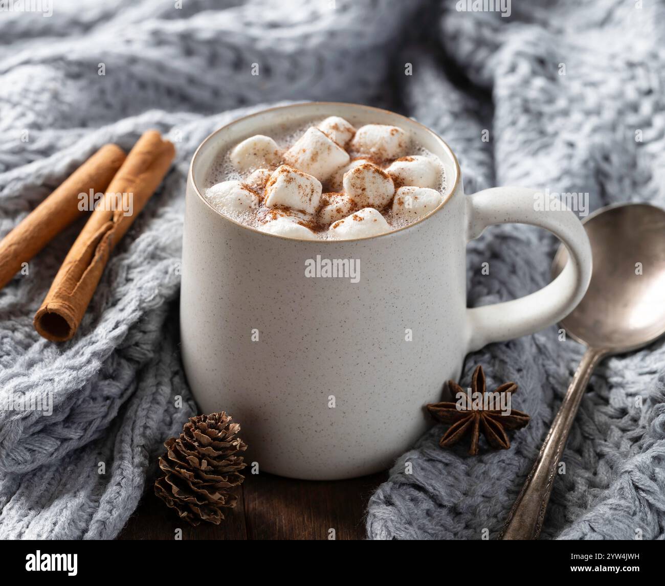 Cup hot chocolate blanket hi-res stock photography and images - Alamy