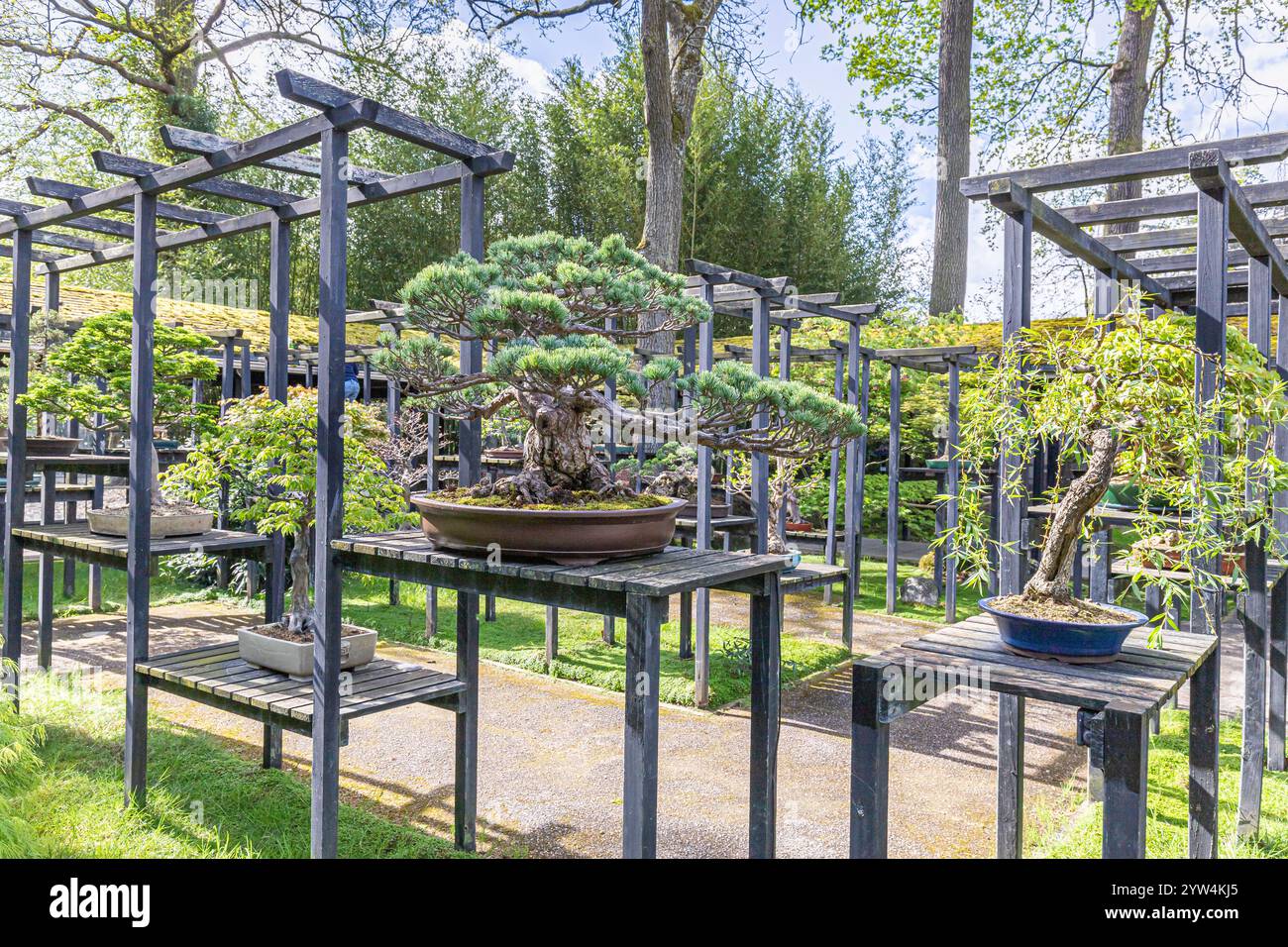 Pavillon aux Bonsais, Parc Floral Vincennes, Ile de France, Paris ...