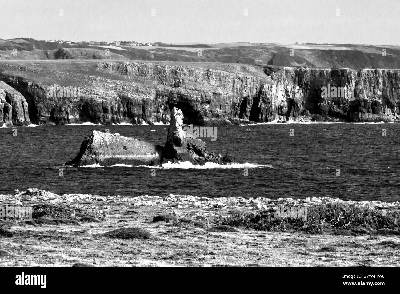 A sea stack of the Pembrokeshire coast in Wales in black and white ...