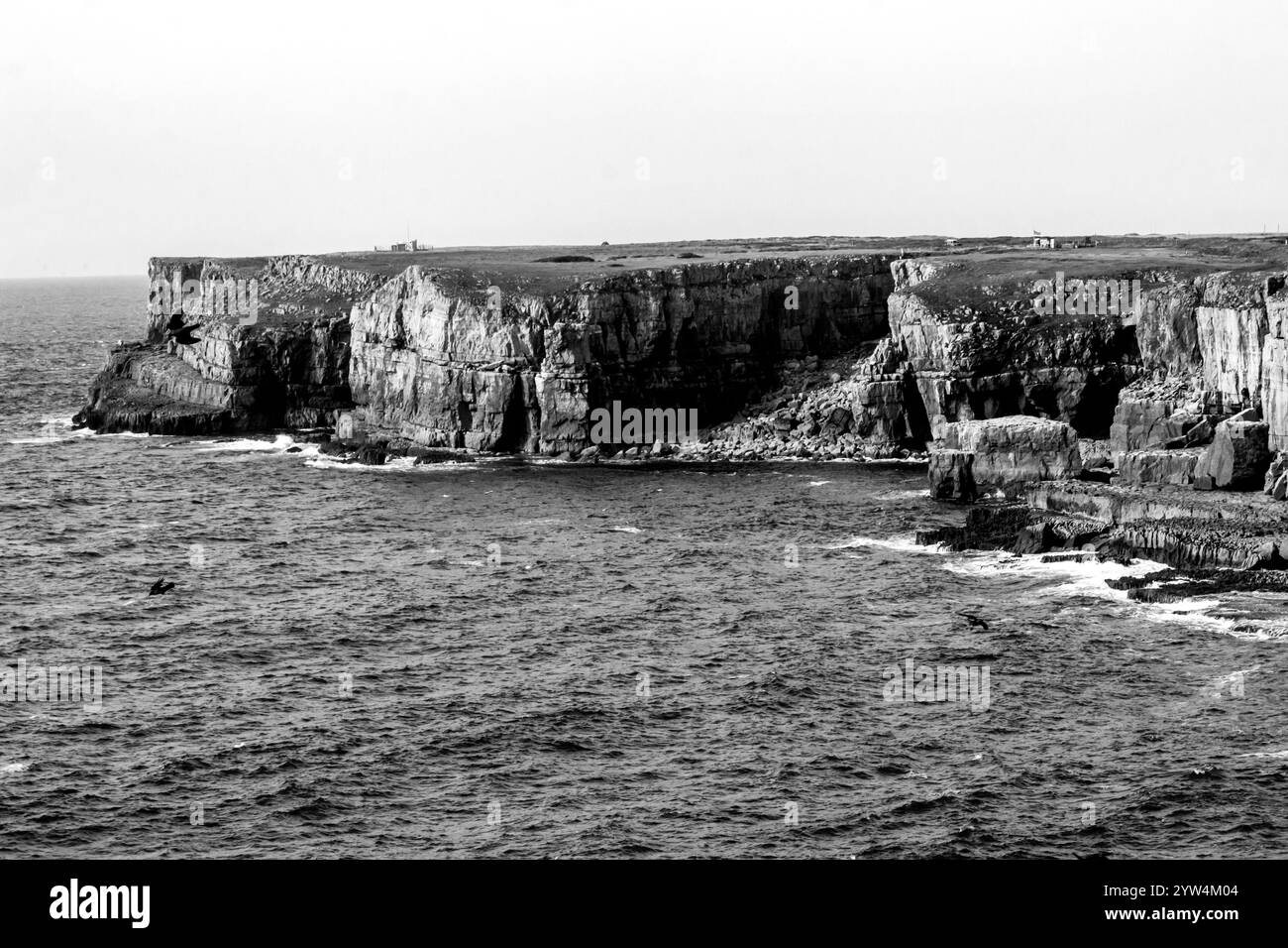 The dramatic sheer limestone sea cliffs of the Pembrokeshire coast of ...