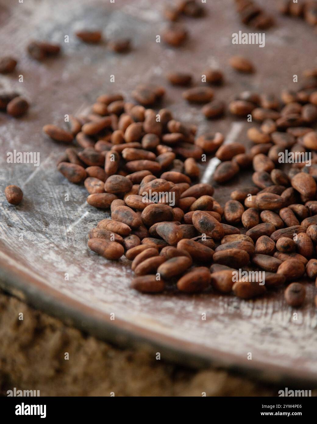 A woman in Oaxaca Mexico roasting cocoa beans on a comal in a wood ...
