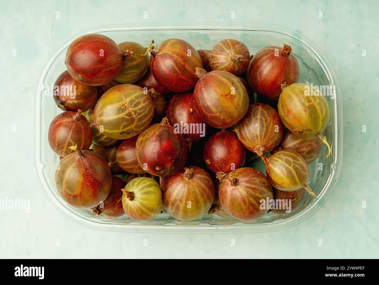 Top view of fresh gooseberries in a clear plastic container on a pastel ...