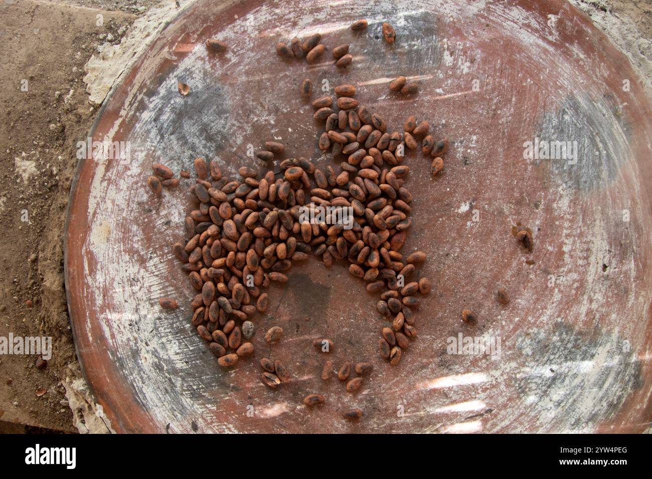 A woman in Oaxaca Mexico roasting cocoa beans on a comal in a wood ...