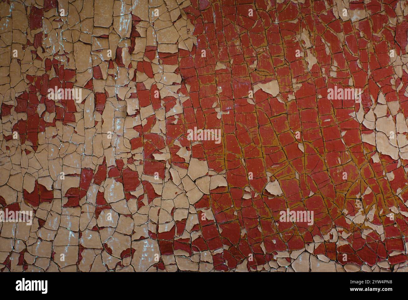 A weathered wooden surface with flaking, sun-faded paint, highlighting ...