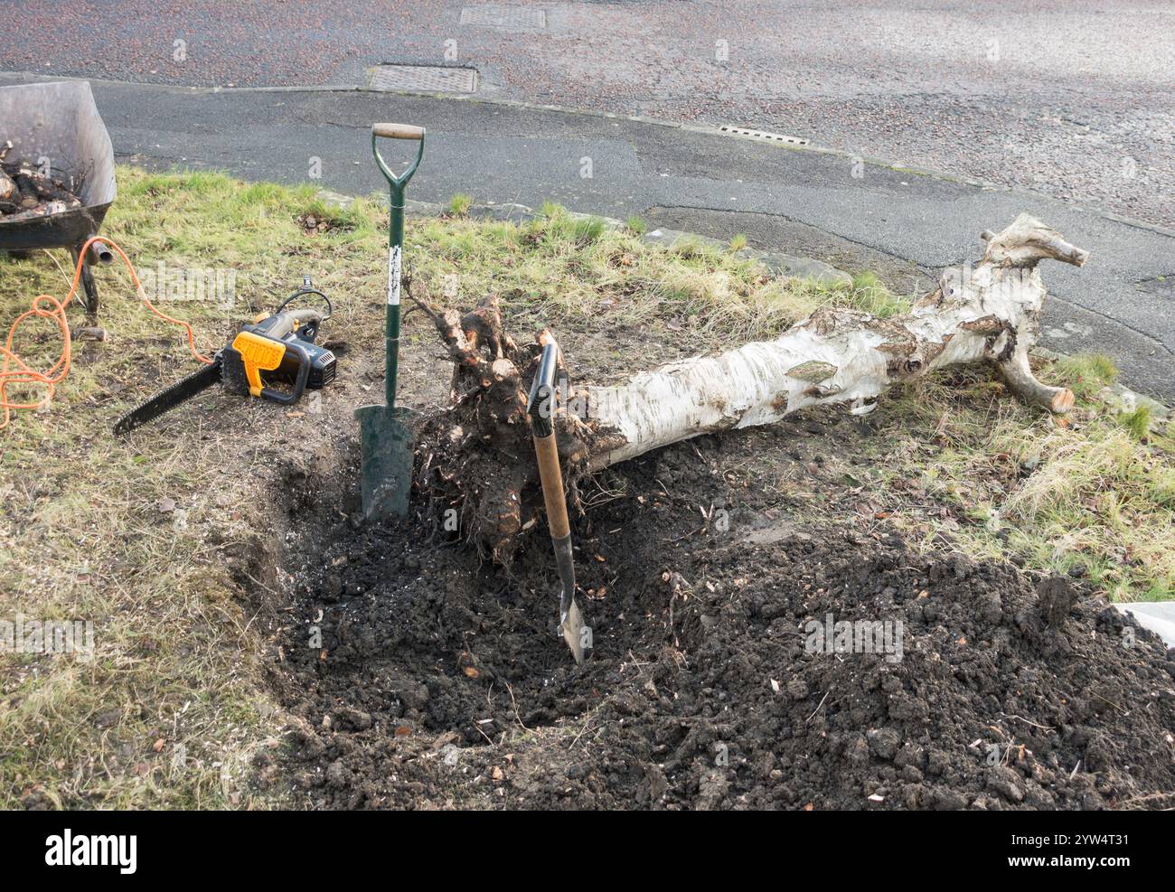 Tools used to dig up a tree stump, chainsaw, spade and spit (Newcastle ...