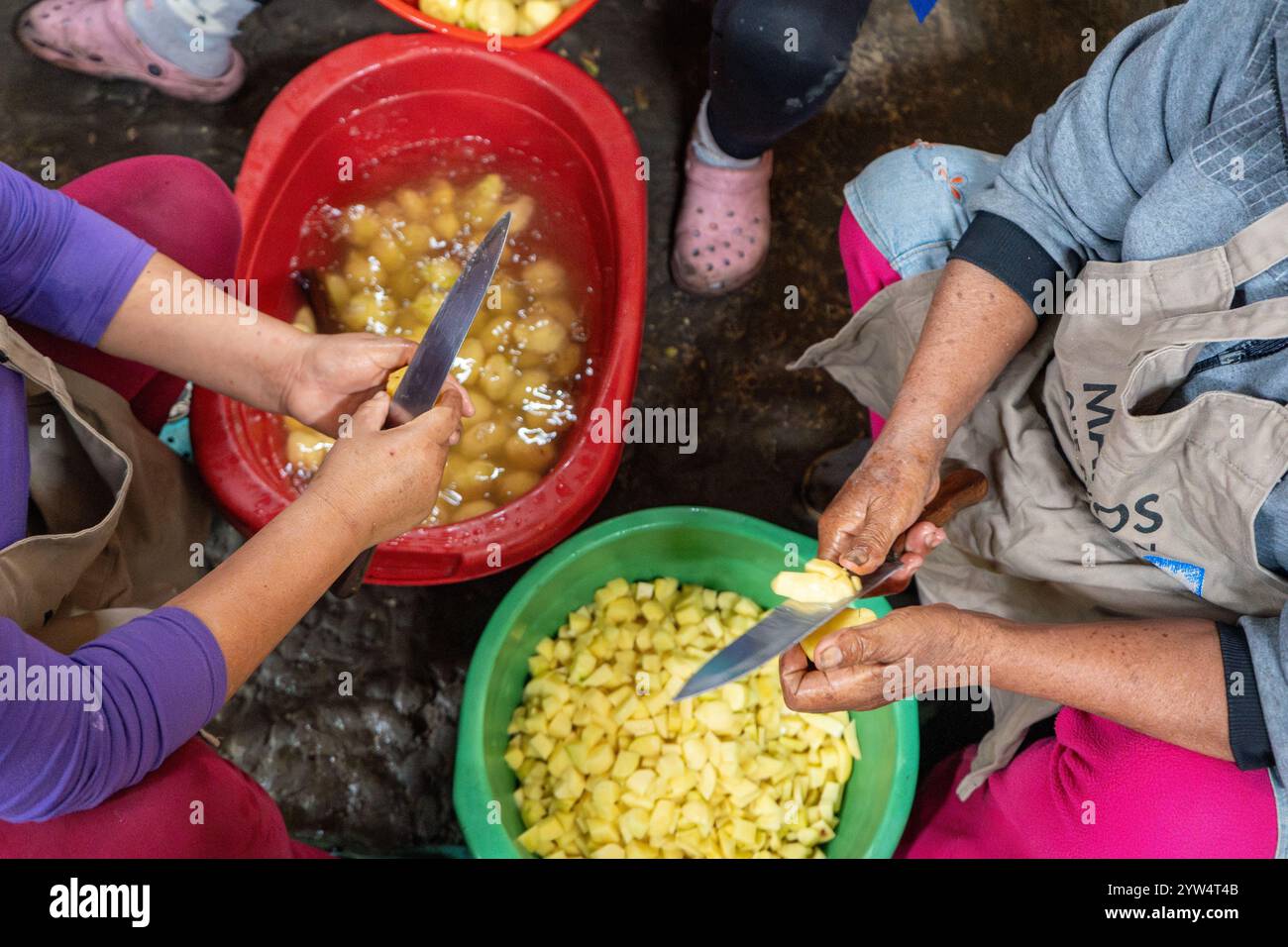 Women's Hands Wash, Cut, and Peel Potatoes Together with Knives and ...