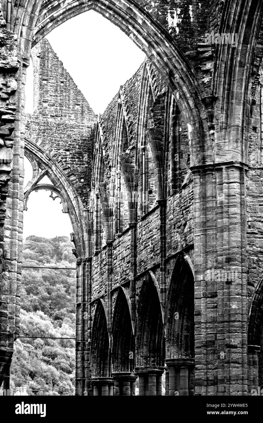 The walls of the ruins of the abbey church of Tintern abbey in Wales in ...