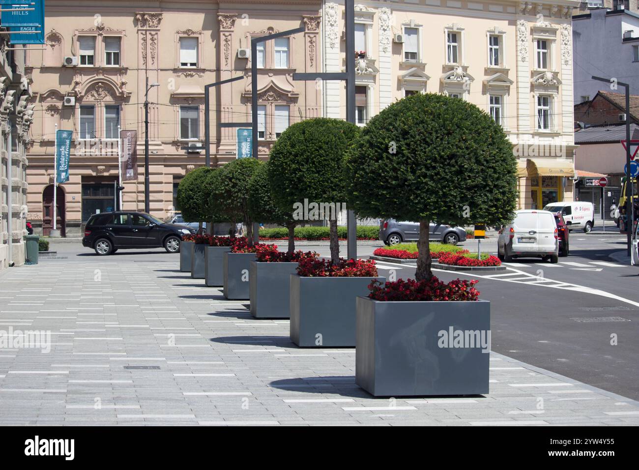 Decorative trees and colorful flowers line city street Stock Photo - Alamy