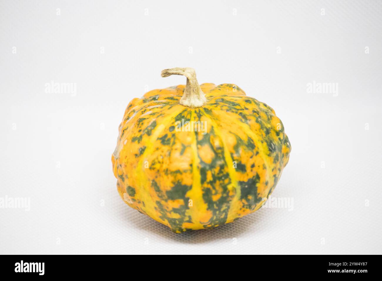Striped gourd hi-res stock photography and images - Alamy