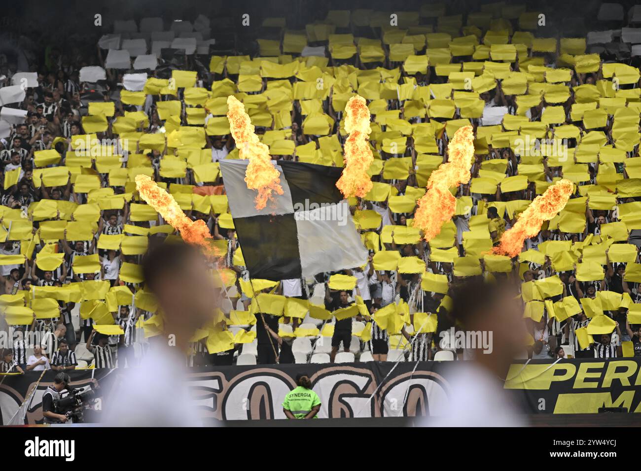 Rio de Janeiro-Brazil, November 8, 2024Botafog and São Paulo, Brazilian ...