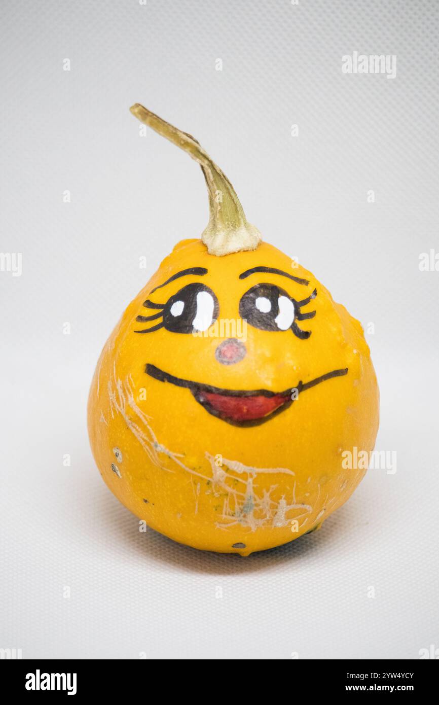 Fun painted gourd with a smiling face Stock Photo - Alamy