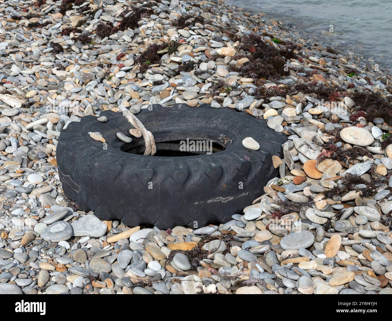 Discarded tire lying on the beach, environmental contamination Stock ...