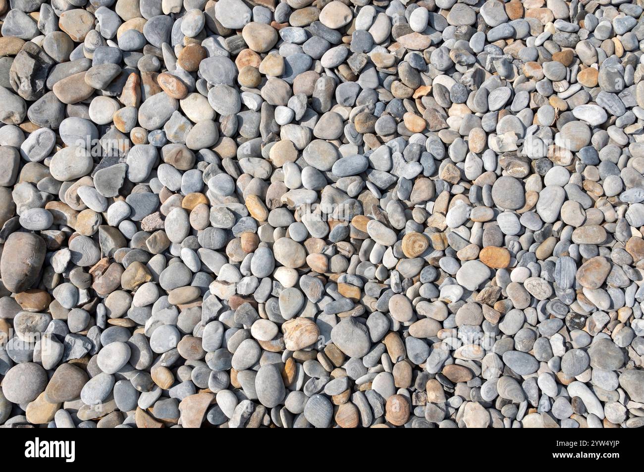 Collection of natural river stones with a rough texture and gray color ...