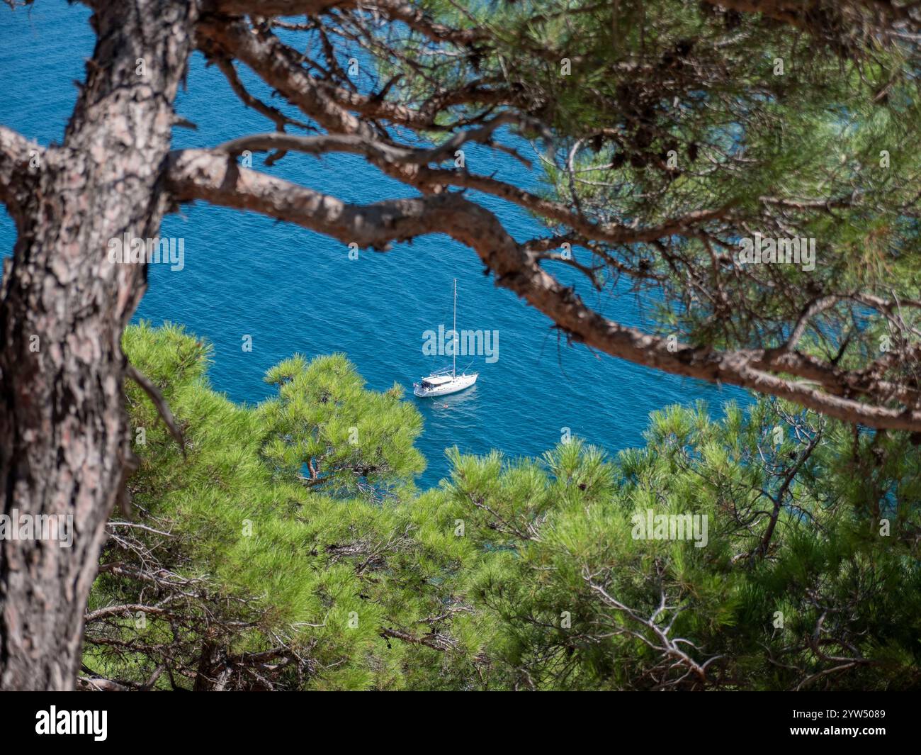 Black Sea coast of a wild beach near the Cape Idokopas, not far from ...