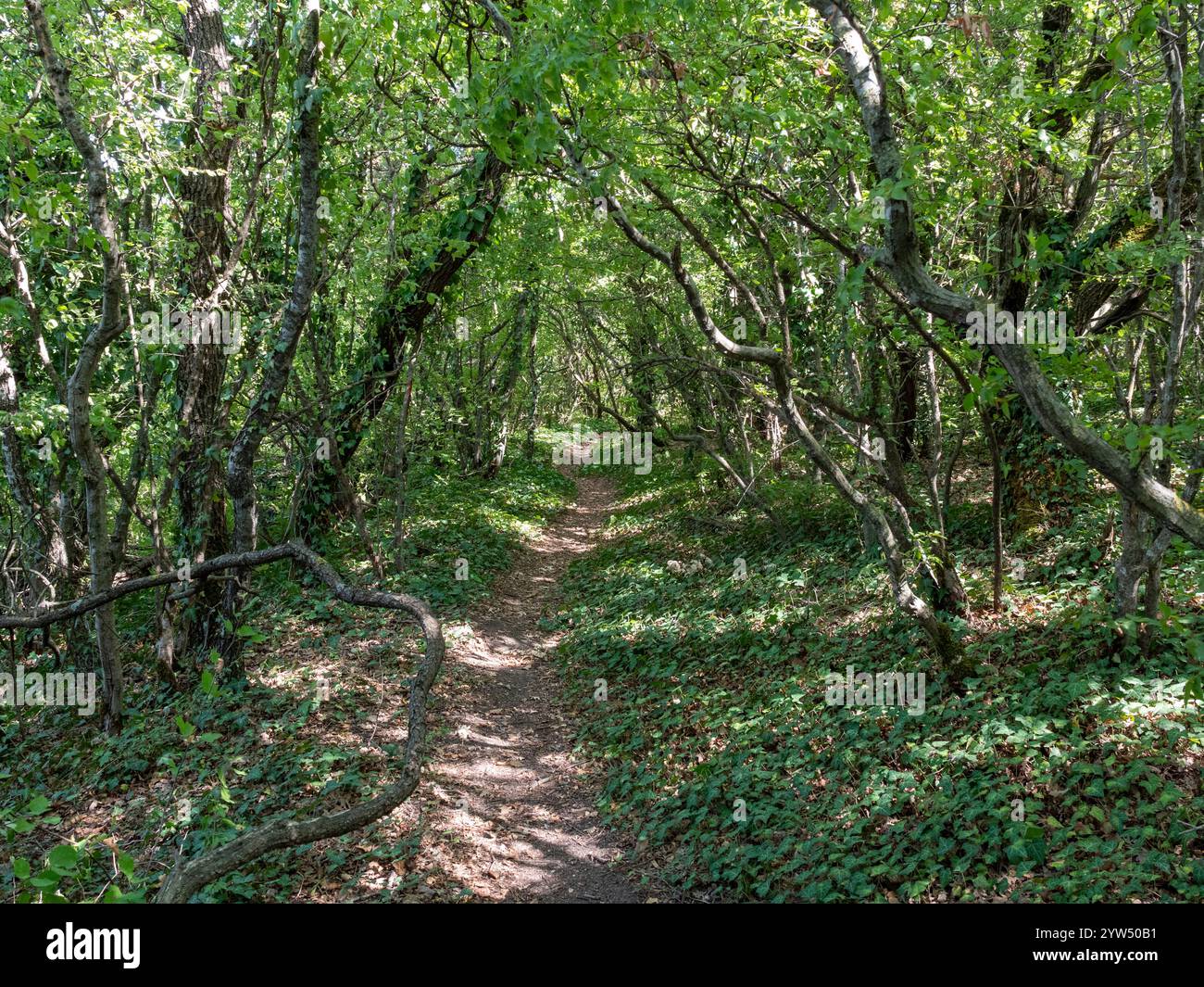 Idokopas cape hi-res stock photography and images - Alamy