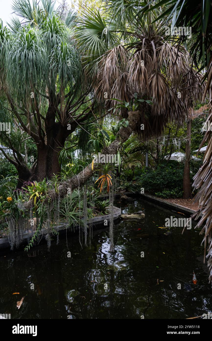 Miami Beach Botanical Garden in South Beach, Miami, Florida. Pond with ...