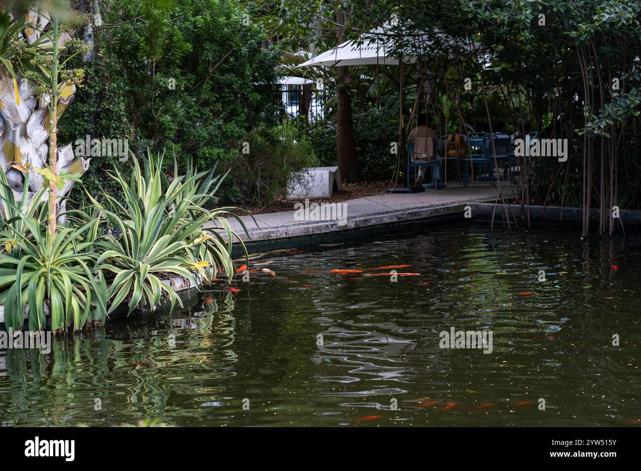 Miami Beach Botanical Garden in South Beach, Miami, Florida. Pond with ...