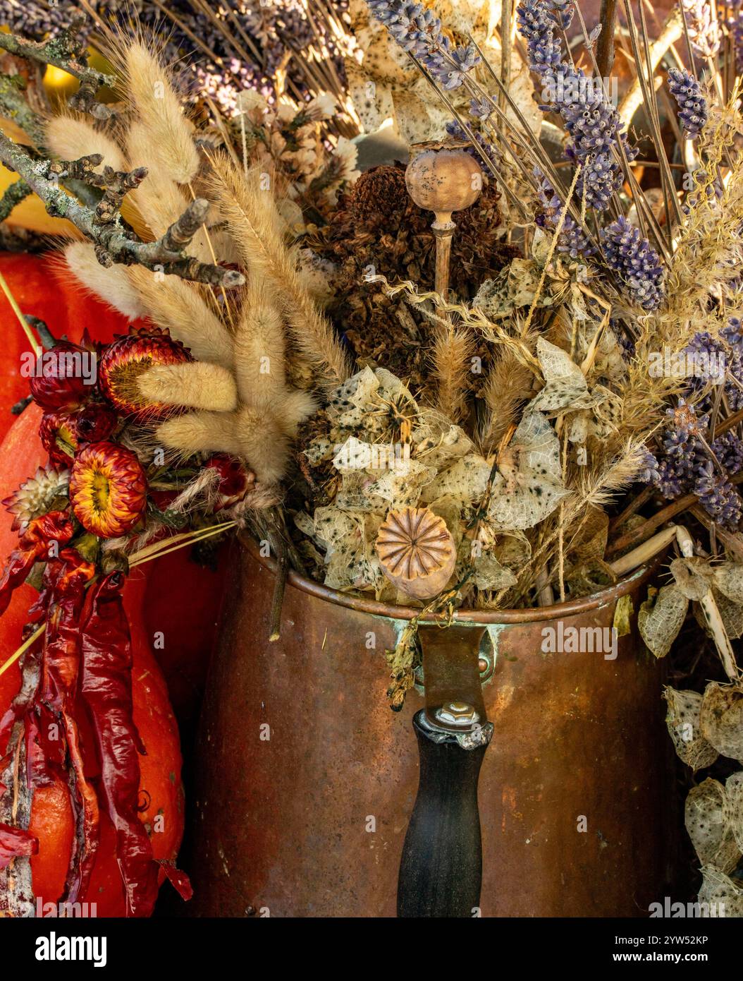 Natural close up found still life of dried grasses and seed-heads in ...