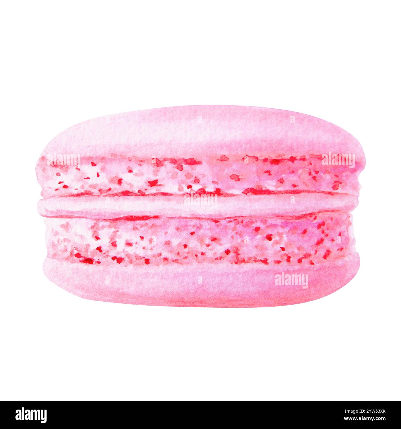 Watercolor illustration of pink macaron with detailed texture and ...